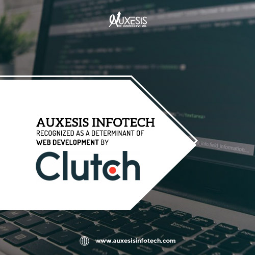 Auxesis Infotech Recognized as a Determinant of Web Development