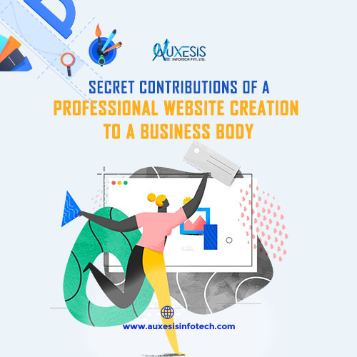 Secret Contributions of a Professional Website Creation